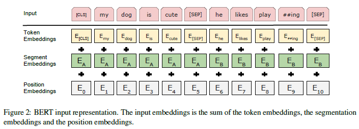 中文版-BERT-预训练的深度双向Transformer语言模型-详细介绍 - 专知
